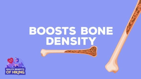 10 Best Health Benefits of Hiking (2023 UPDATED) - ArcticDry