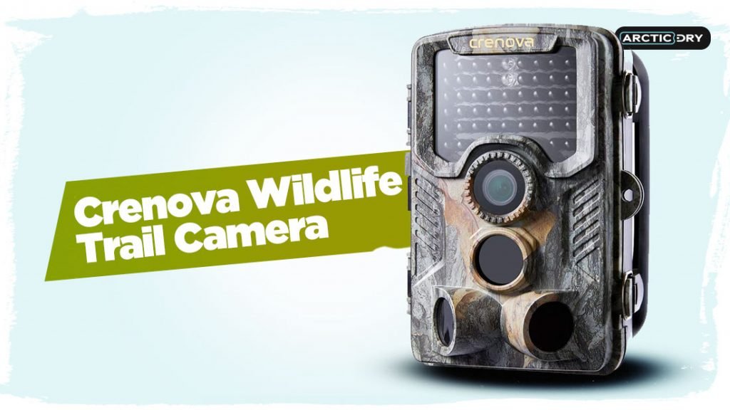 The Best Budget Trail Camera (UK) [UPDATED] - ArcticDry
